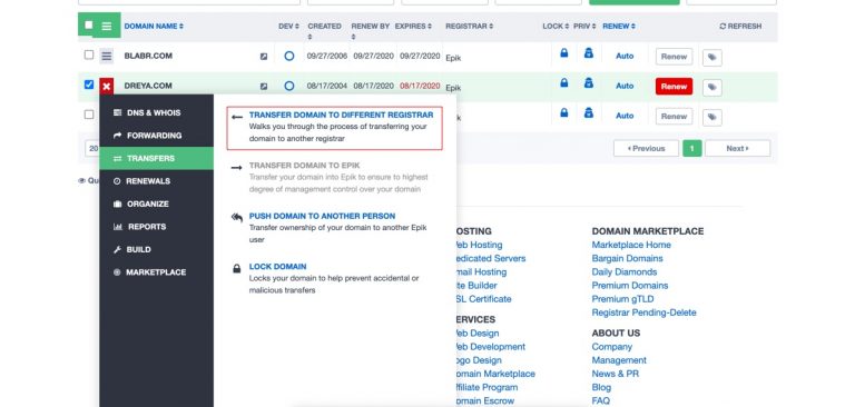 How to prepare a domain name for transfer in Epik – Brandpa – sellers